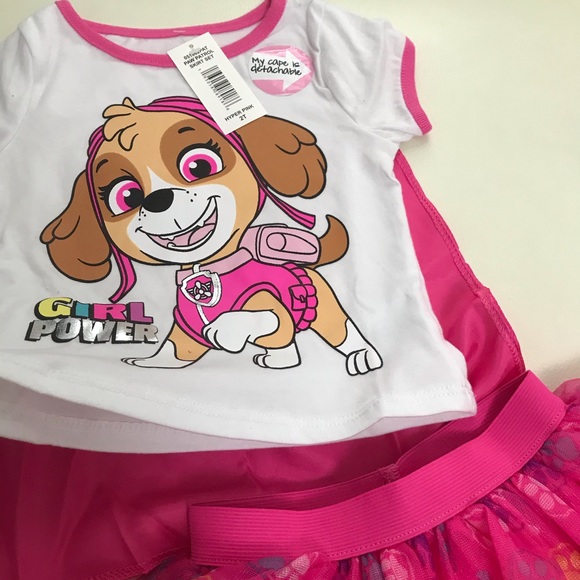 Nickelodeon | Matching Sets | Nickelodeon Paw Patrol Skirt Pink Set | Poshmark